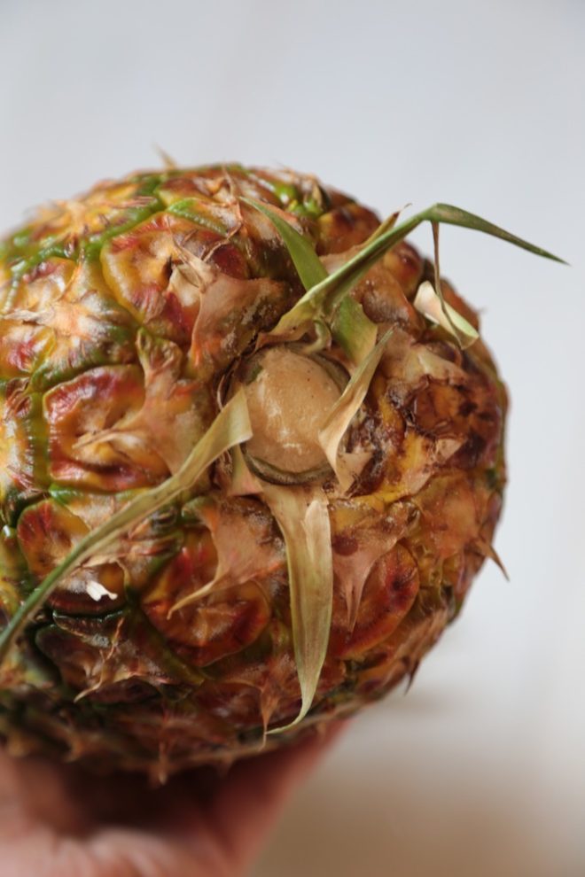 How to Pick the Perfect Pineapple Every Time - Homemade Home