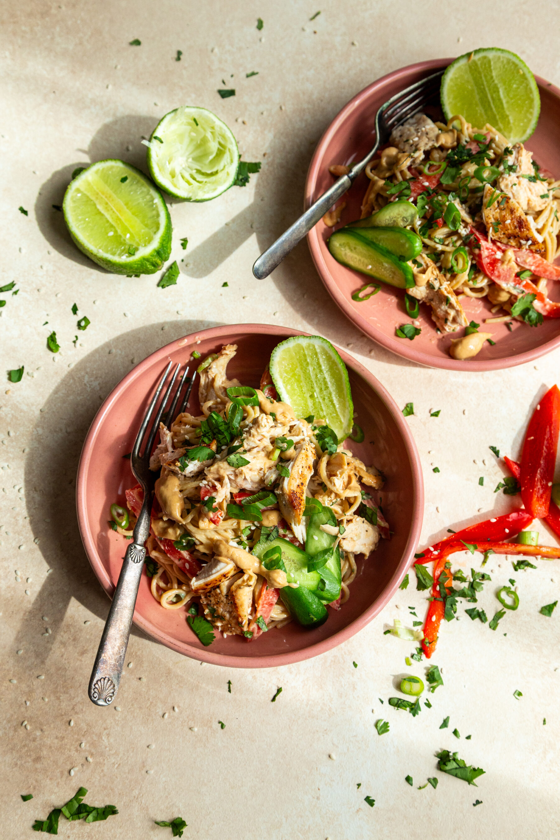 High Protein Peanut Noodles with Chicken - Homemade Home